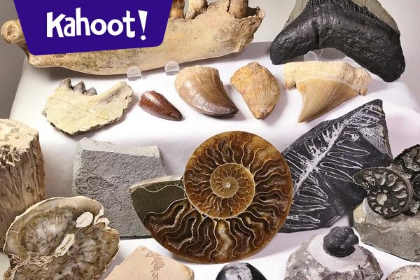 Fossils Omiros Summer Camp 2019 - Kahoot! Quiz
