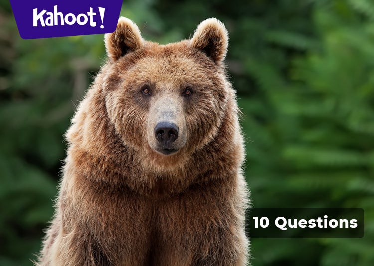 Week 6 - Kahoot! Quiz