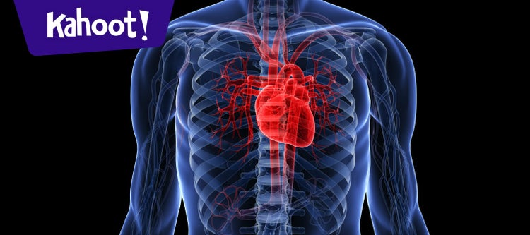 A&P 2 - Heart Anatomy Review - Kahoot! Quiz