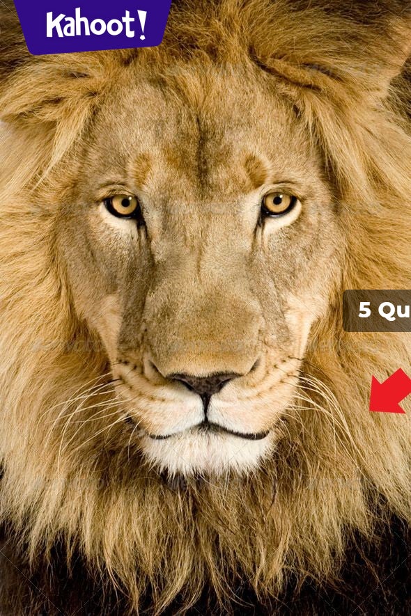 Animal Parts - Kahoot! Quiz