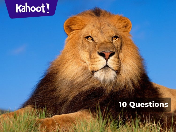 Animals and Habitats - Kahoot! Quiz
