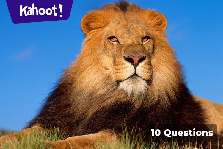 Animals and Habitats - Kahoot! Quiz