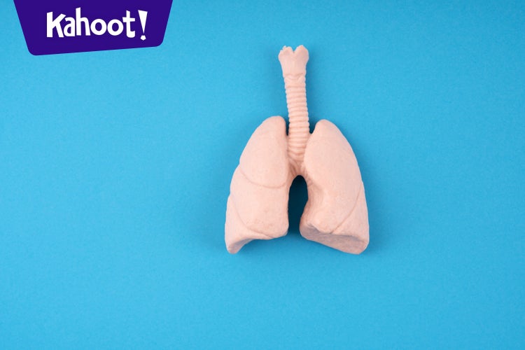 Respiratory System Quiz - Kahoot! Quiz
