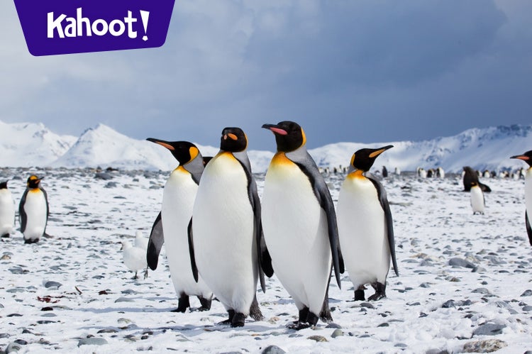 6年 We live together - Kahoot! Quiz