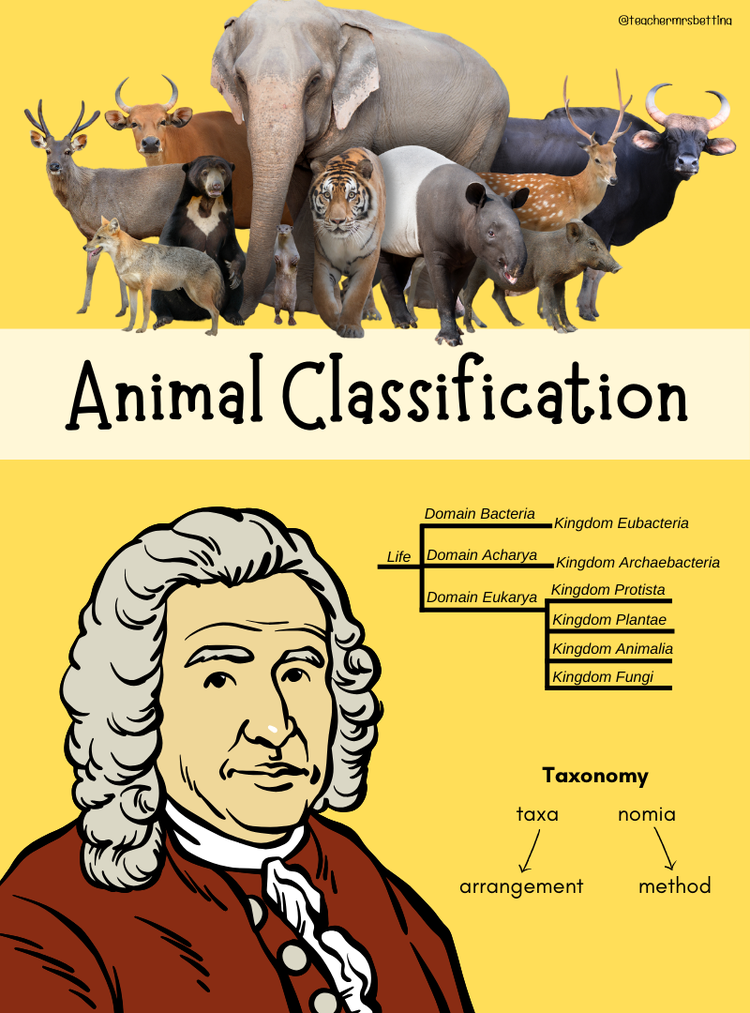 Animal Classification and Taxonomy Pack Bundle (with printables ...