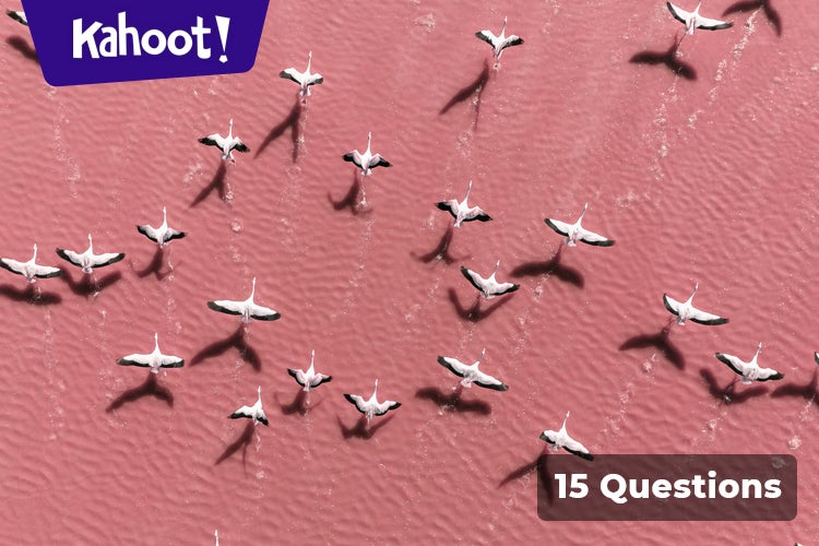 Wild Animals Vocabulary 2 - Kahoot! Quiz