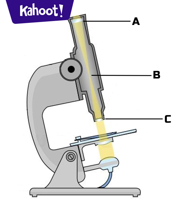 Physical Science: Optical Instruments - Kahoot! Quiz
