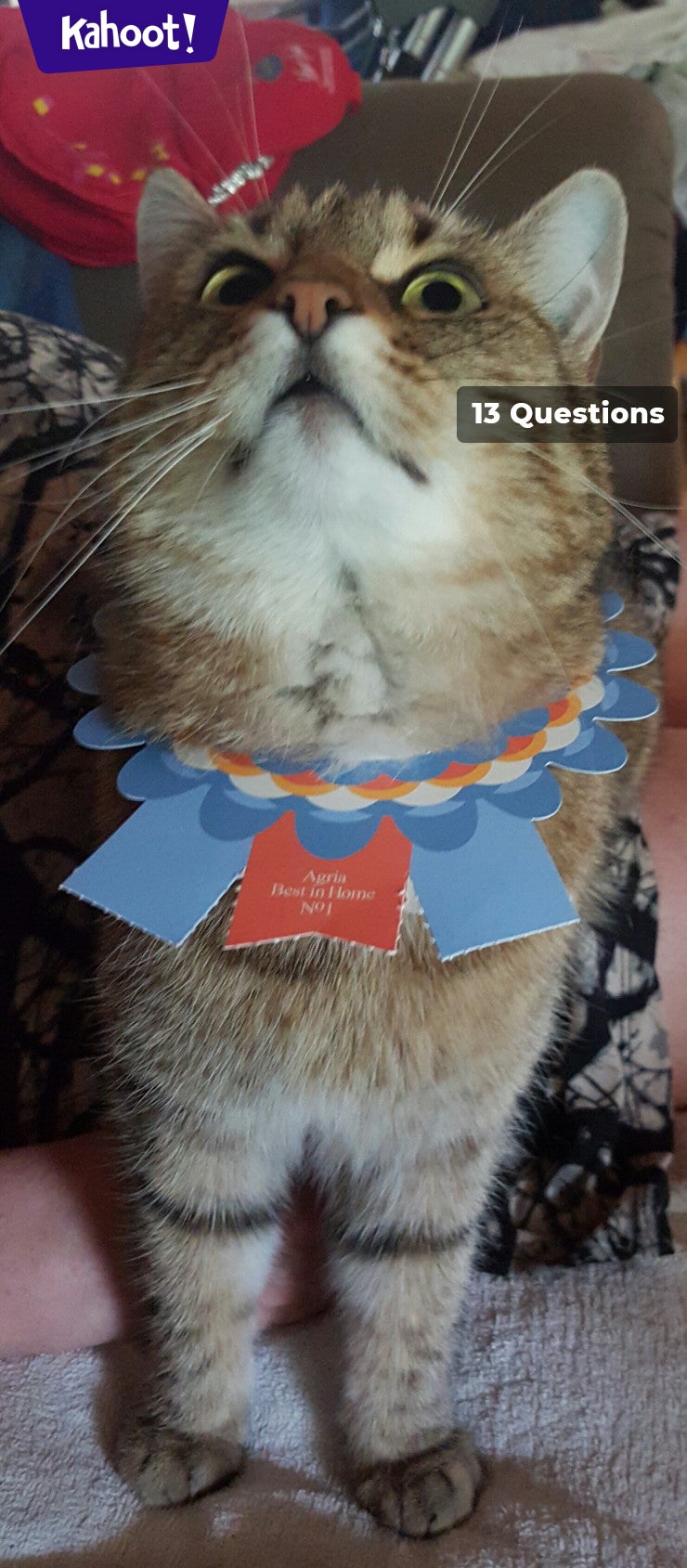 Me in a nutshell - Kahoot! Quiz