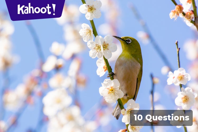 Signs of Spring! - Kahoot! Quiz