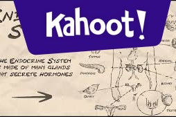 Duplicate of Endocrine System & Disorder Review - Kahoot! Quiz