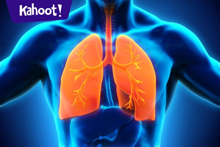1362 MT3 Respiratory - Kahoot! Quiz