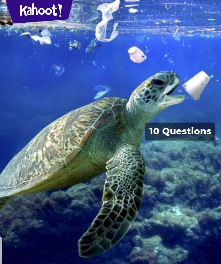 Duplicate of Plastic Pollution Quiz - Kahoot! Quiz