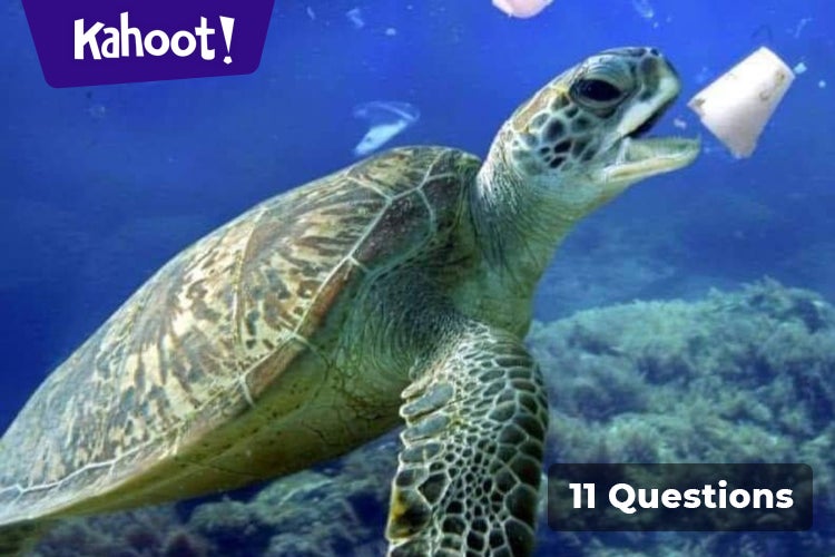 Duplicate of Plastic Pollution Quiz - Kahoot! Quiz