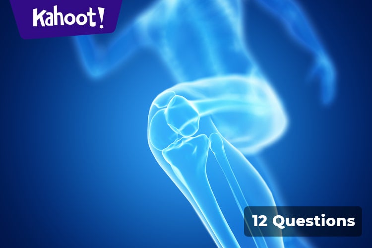 Anatomy and Physiology Quiz - Kahoot! Quiz