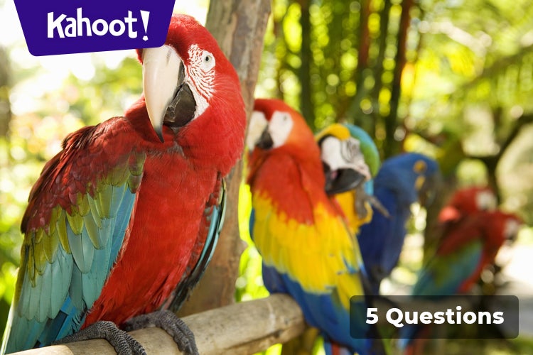 ANIMALS - Kahoot! Quiz