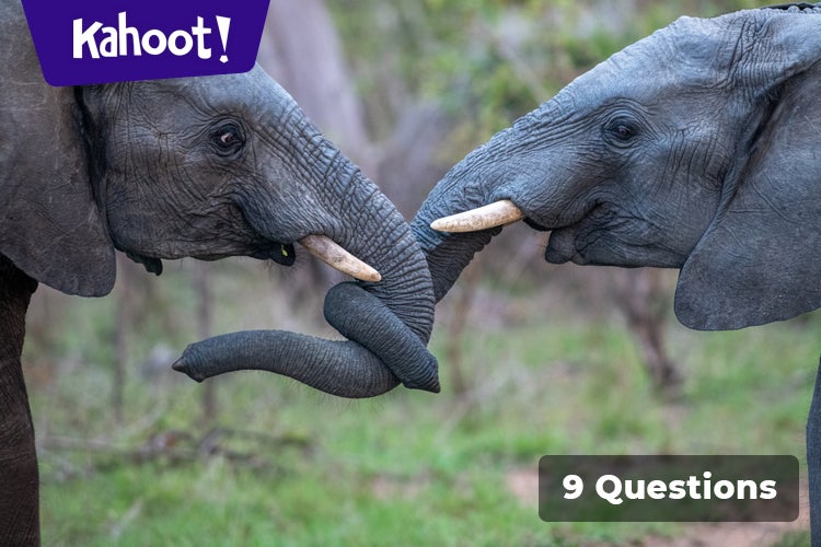 Wildlife Conservation Day - Kahoot! Quiz