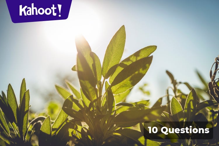 How Plants Grow - Kahoot! Quiz