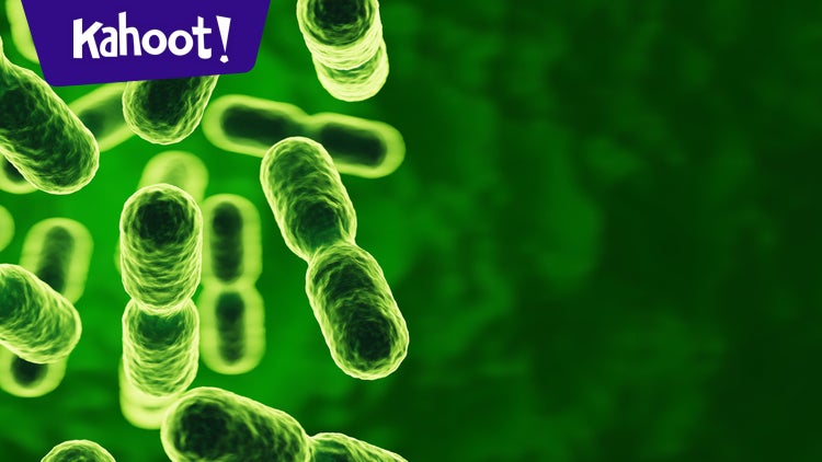 Microbiology Lab exam 2 - Kahoot! Quiz