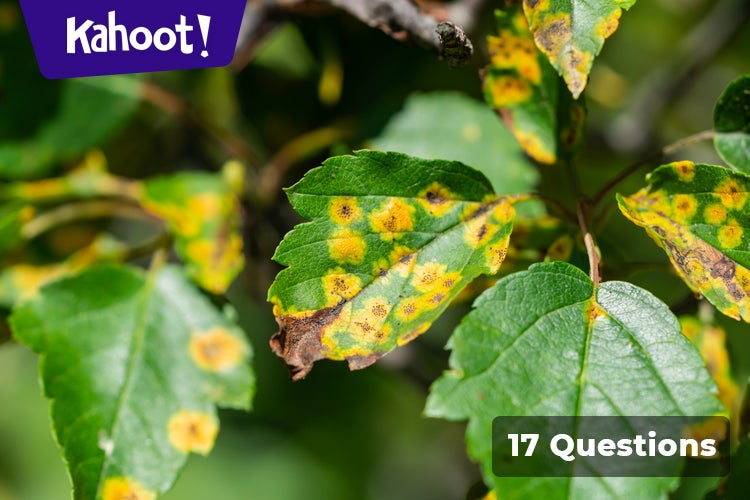 Plant diseases progression check - Kahoot! Quiz