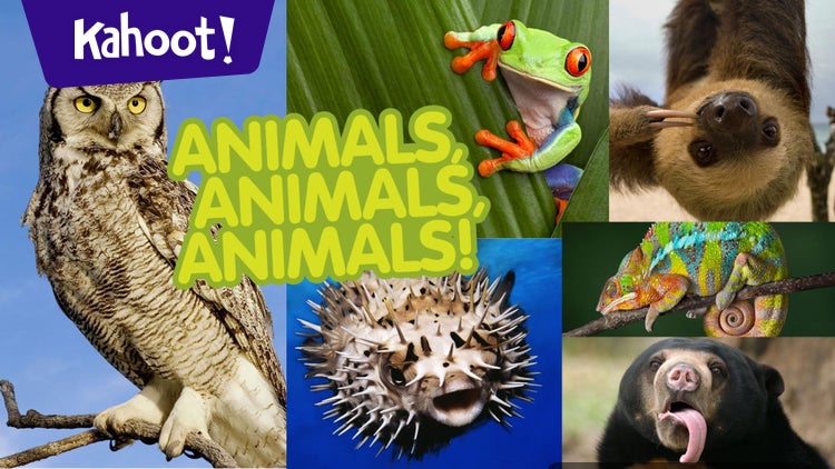 Animals, Animals, and Oceans - Kahoot! Quiz