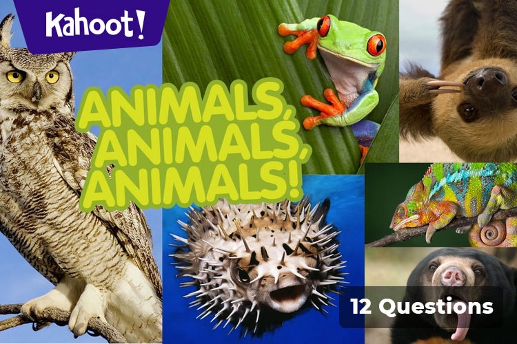 Animals, Animals, and Oceans - Kahoot! Quiz