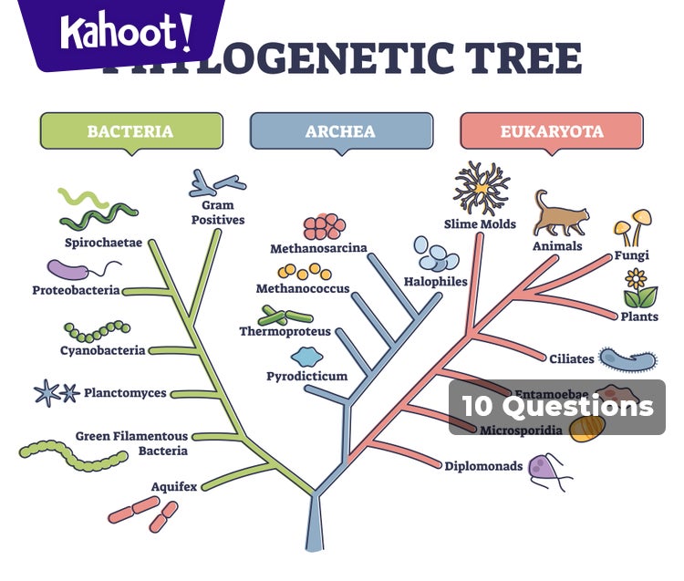 Mastering Taxonomy: Binomial Nomenclature and Classification - Kahoot! Quiz