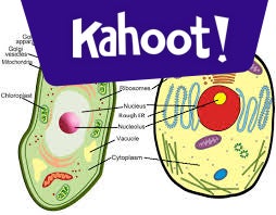 Cell Organelles and their Functions - Kahoot! Quiz