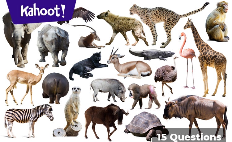 Animals Unit 4 ELA Review - Kahoot! Quiz