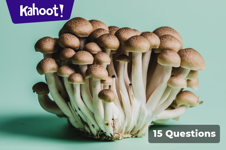 Stage 4 4.5 Charlie and the Chocolate Factory part 2 - Kahoot! Quiz