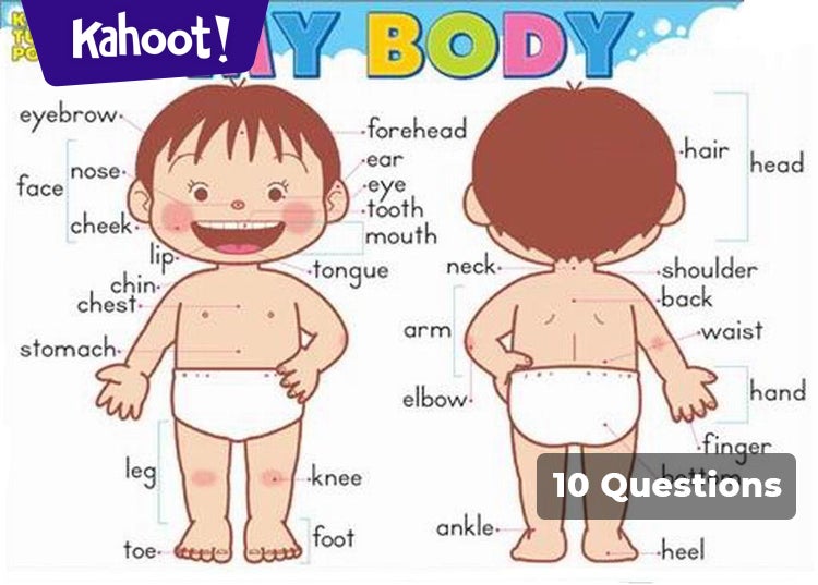 Body Parts - Kahoot! Quiz