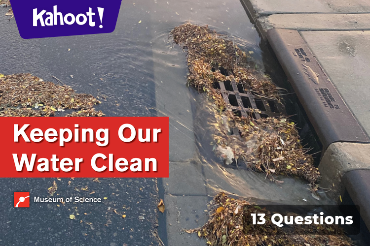 Keeping Our Water Clean - Kahoot! Quiz