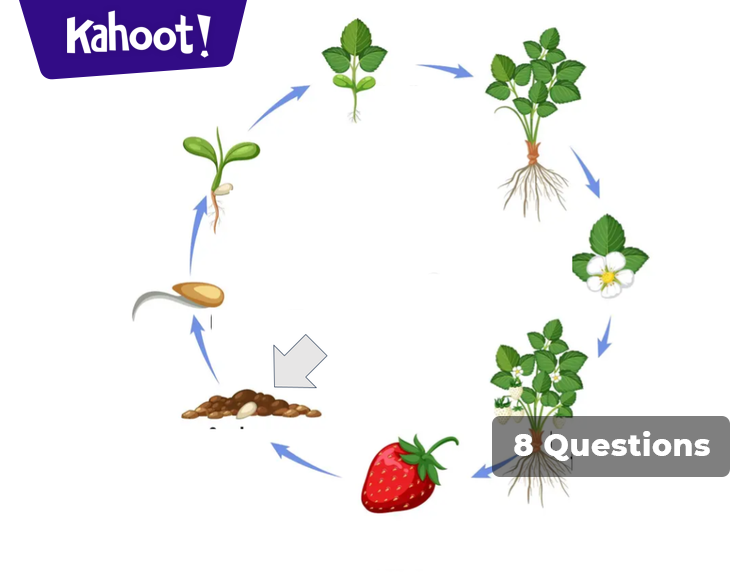 Plant Life Cycle - Kahoot! Quiz