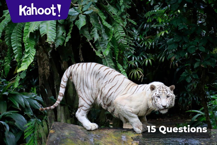 Endangered animals - Kahoot! Quiz