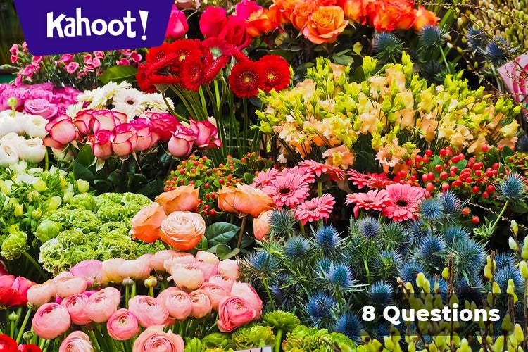 Spring flowers - Kahoot! Quiz