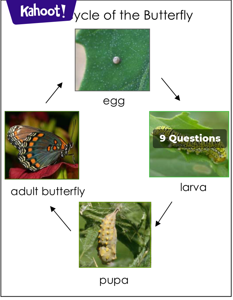 Life Cycle of a - Kahoot! Quiz