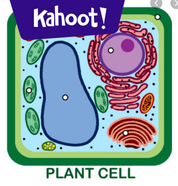 Cell Structures & Transport - Kahoot! Quiz