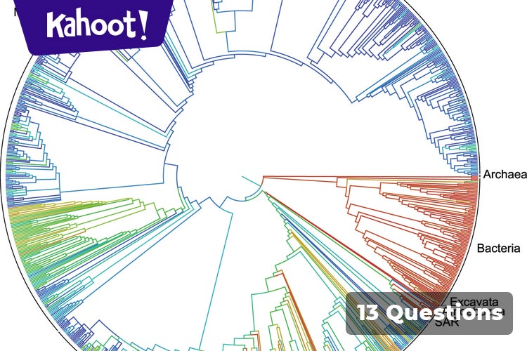 Duplicate of evolution 2 - Kahoot! Quiz