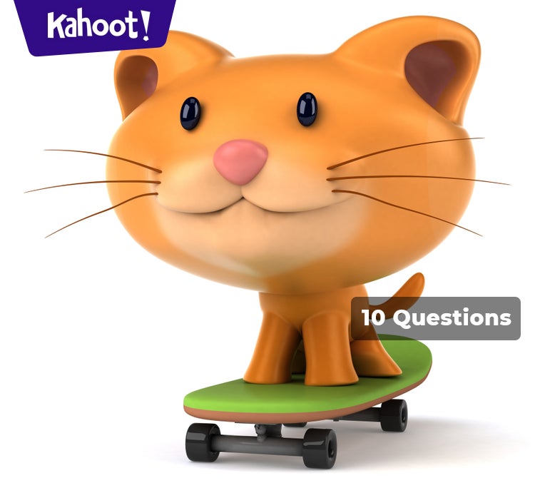 Le petit chat - Mets les mots en ordre - Kahoot! Quiz