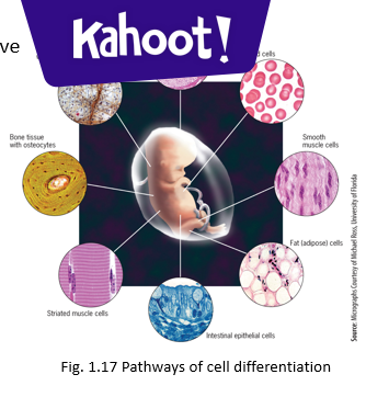 Cell & Molecular BIO Chapter 1 cell organization part 2 - Kahoot! Quiz