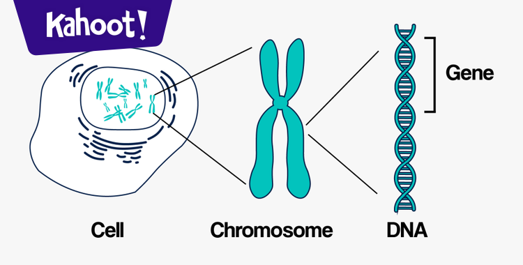 Life Science: Heredity in the Cell - Kahoot! Quiz