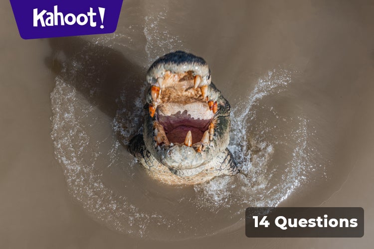 IDENTIFY THE REPTILE 3 - Kahoot! Quiz