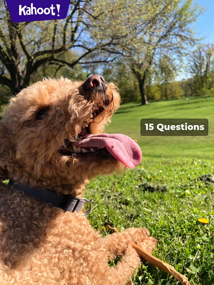 SNC1D End of Year Kahoot! - Kahoot! Quiz