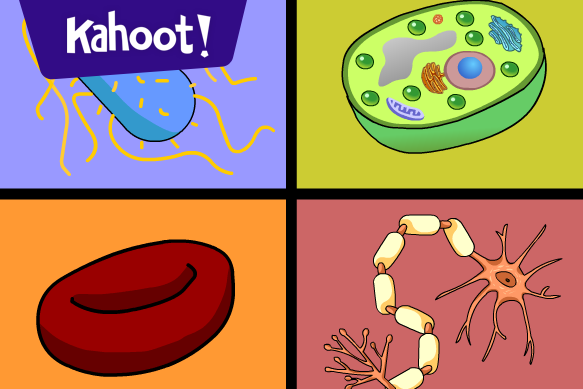 iGCSE Biology - Cell Structure - Kahoot! Quiz