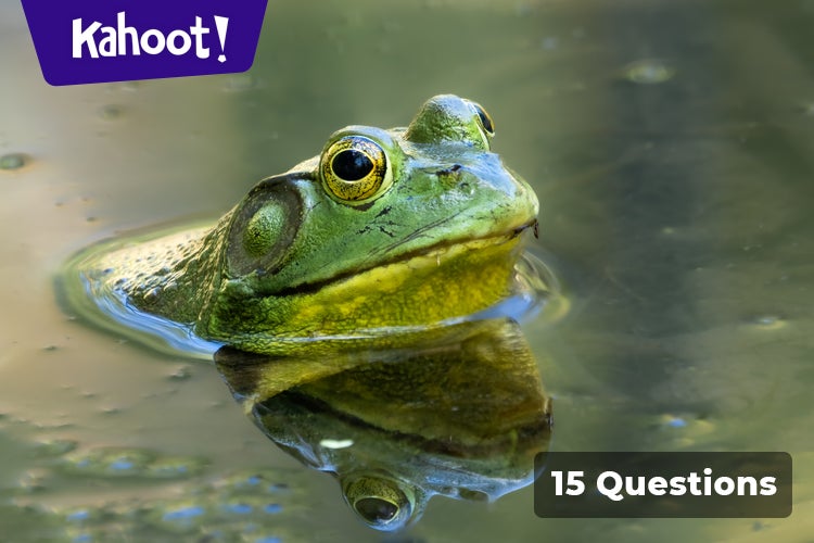 Structural Organization of Animals | Garde 11 - Kahoot! Quiz