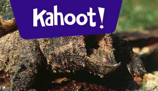 Plant and Animal Adaptations - Kahoot! Quiz