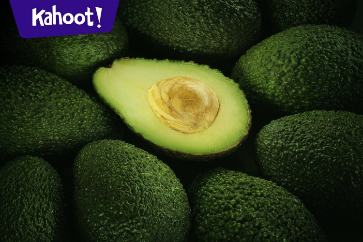 The Skeletal System - Kahoot! Quiz