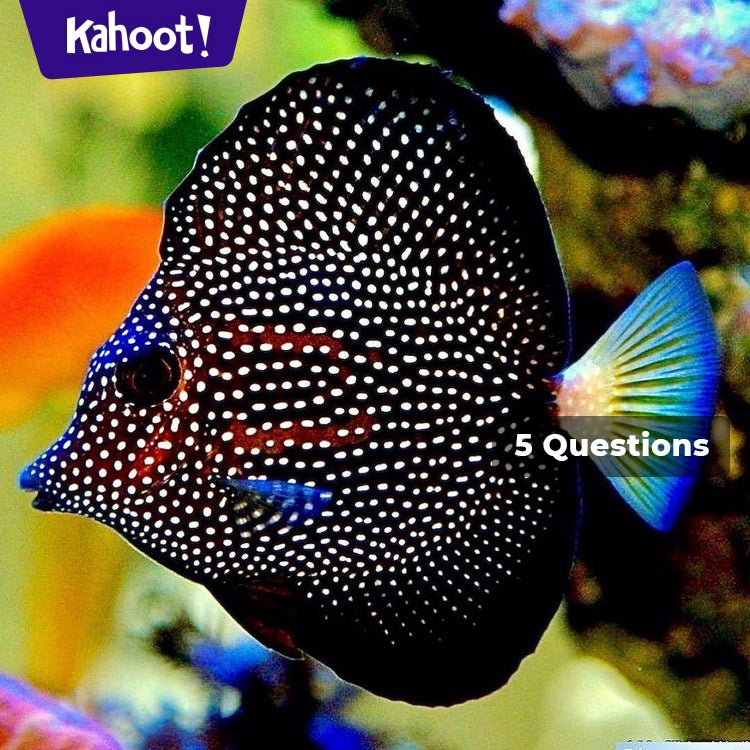 Identify Marine fishes. - Kahoot! Quiz