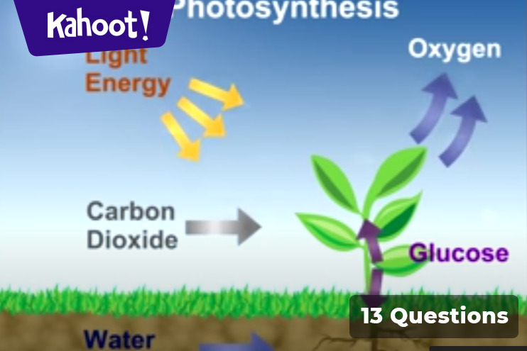 Plant Life: Parts of a plant - Kahoot! Quiz