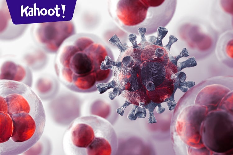 The Circulatory System - Kahoot! Quiz