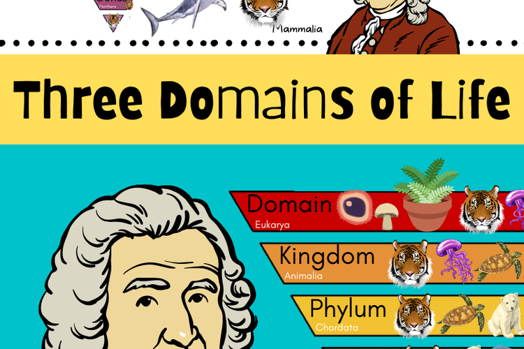 Taxonomy and Three Domains of Life - Kahoot! Course